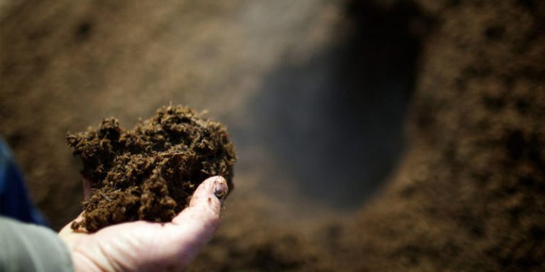 Do you know that benefits of fresh Dung, Read this post
